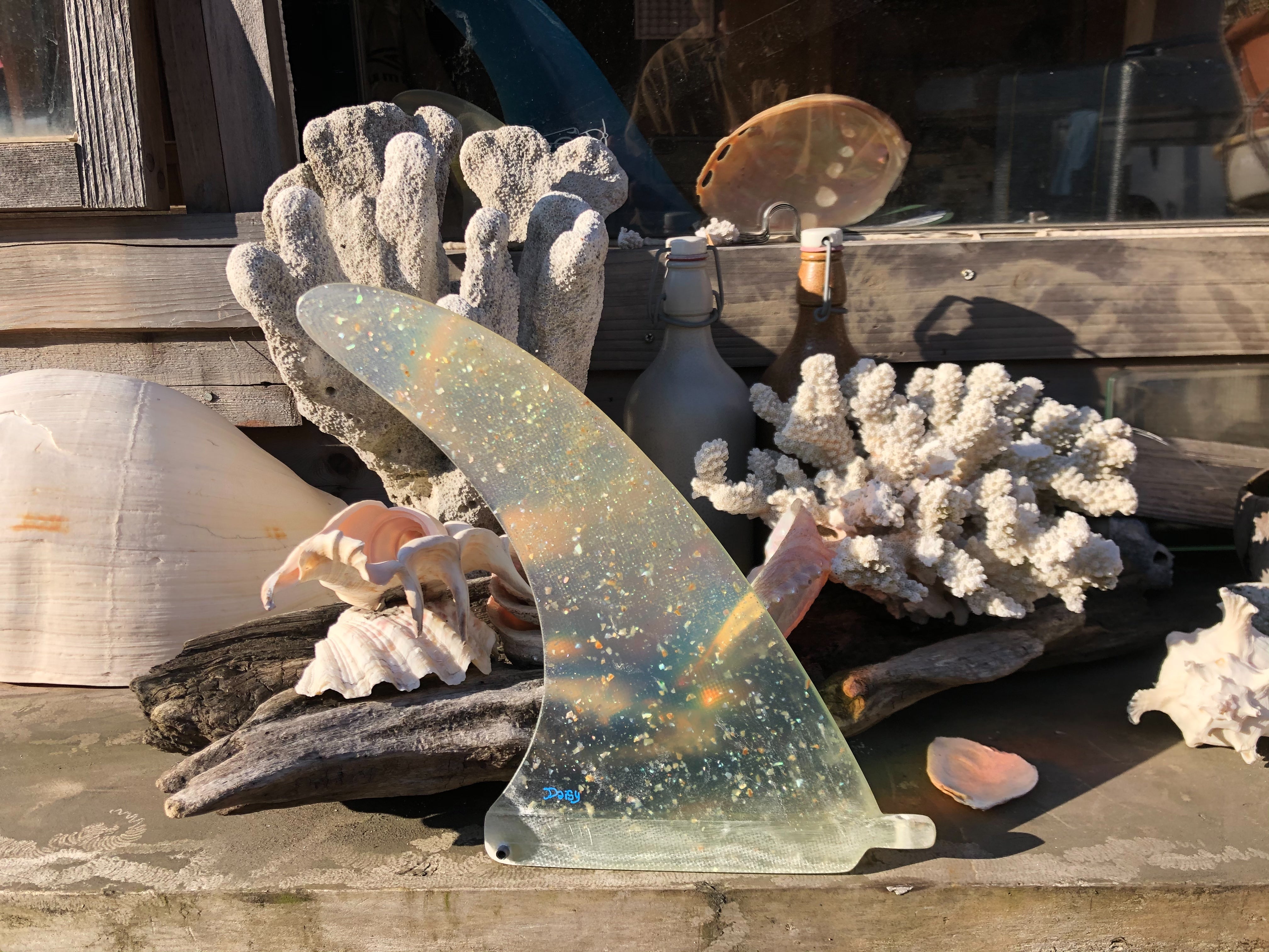 fin shell – Replay Labo Project